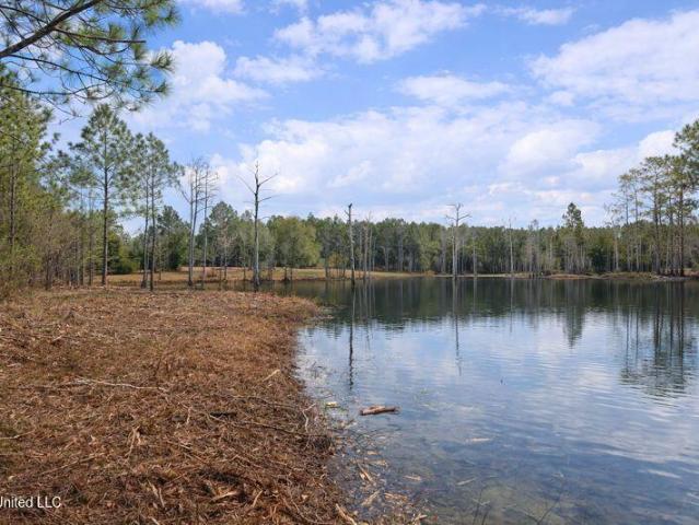 21120 Road 311
