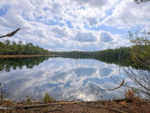 21120 Road 311, Kiln, MS 39556 | MLS #4135