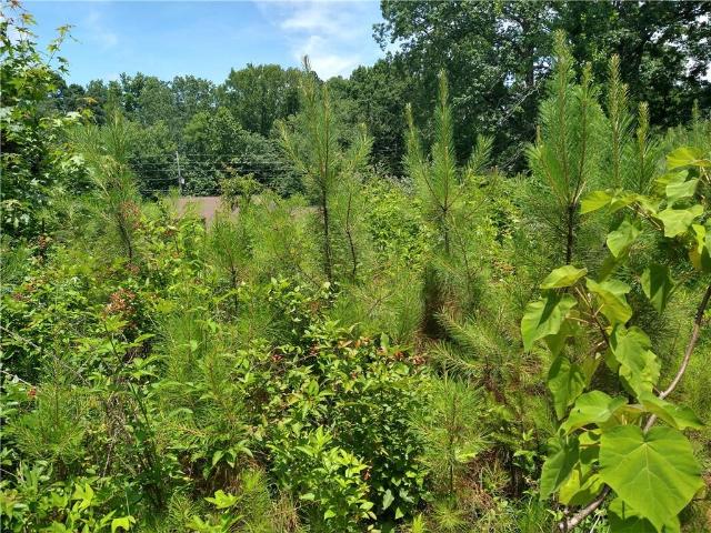 2112 Allgood Rd NE, Marietta, GA 30062 | MLS #7724 | Compass