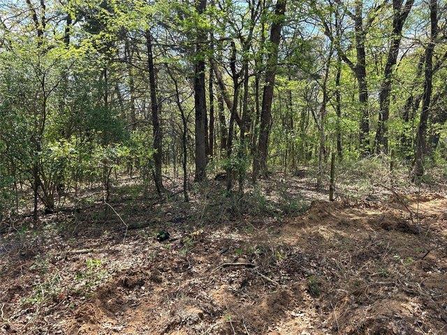 2112 Peterson Rd, Denison, TX 75020