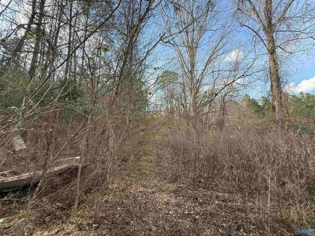 2113 Buster Willett Road