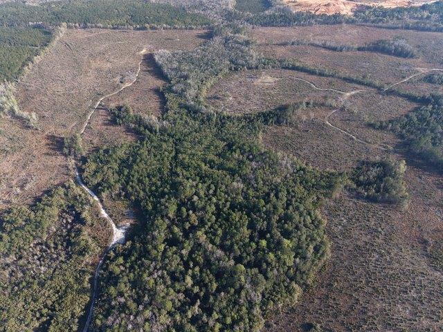 2113 Tbd 526 Acres, Westville, FL 32464
