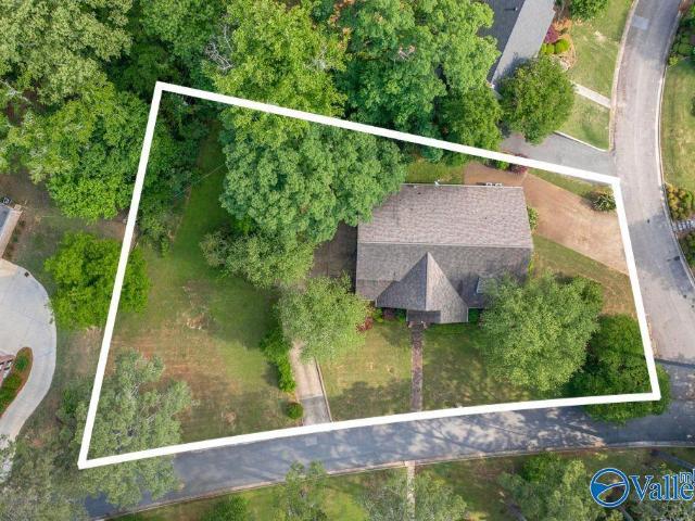 211 Alpine View