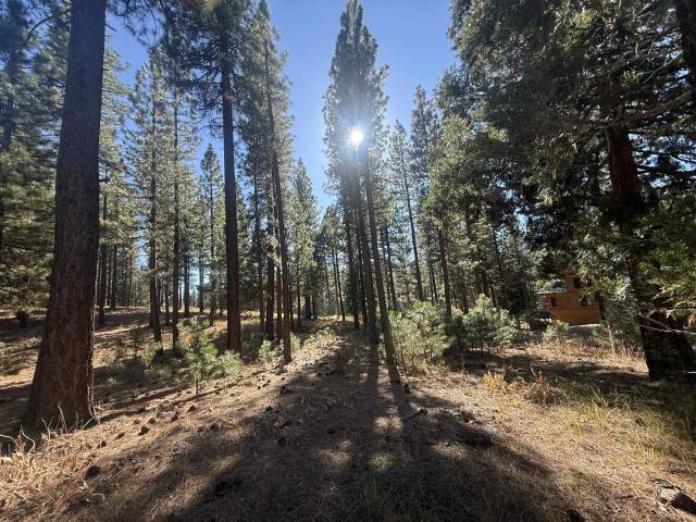 211 Bird of Prey Ln, Portola, CA 96122 | MLS #20251