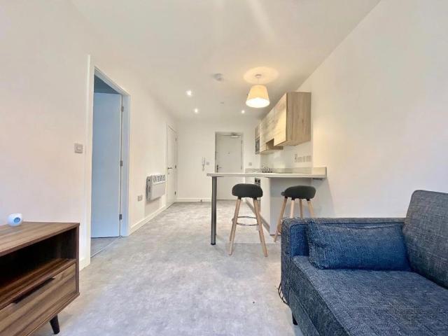 211 Birtin Works, Henry St, S3
