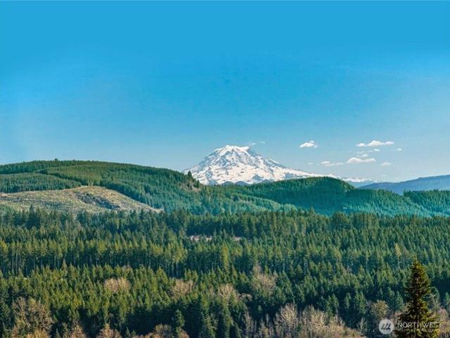 211 Dax Spur, Castle Rock, WA 98611