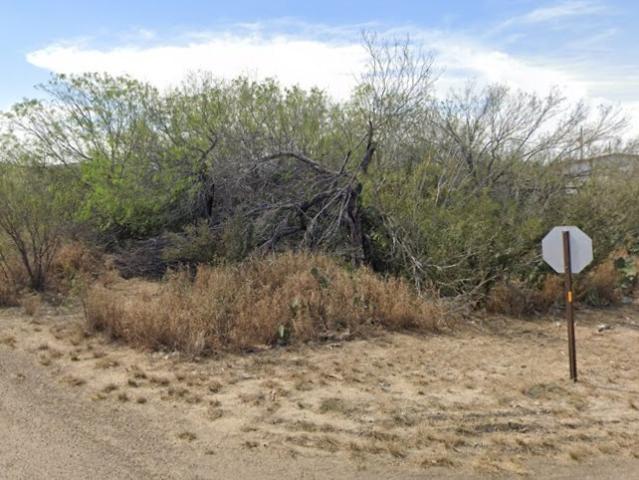 211 Hawk St, Zapata, TX 78076 | MLS #1831