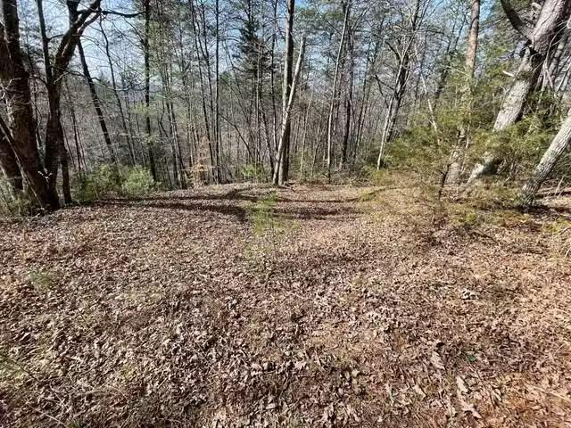 211 HIDDEN HOLLOW LN, OTTO, NC 28763 Single Family Residence F.