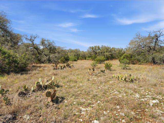 2124 Francisco Pass