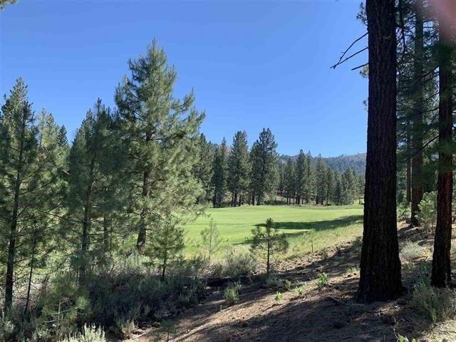 2124 Grizzly Ranch Rd, Portola, CA 96122