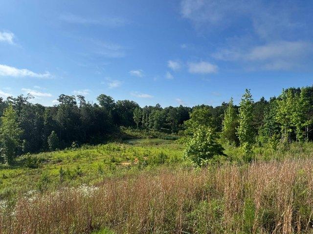 21259 Gorgas Rd, Berry, AL 35546
