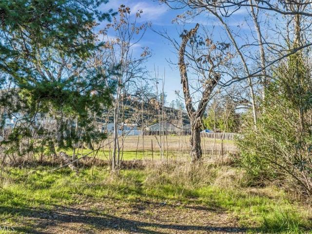 21265 Bush St, Middletown, CA 95461 | MLS #LC25007