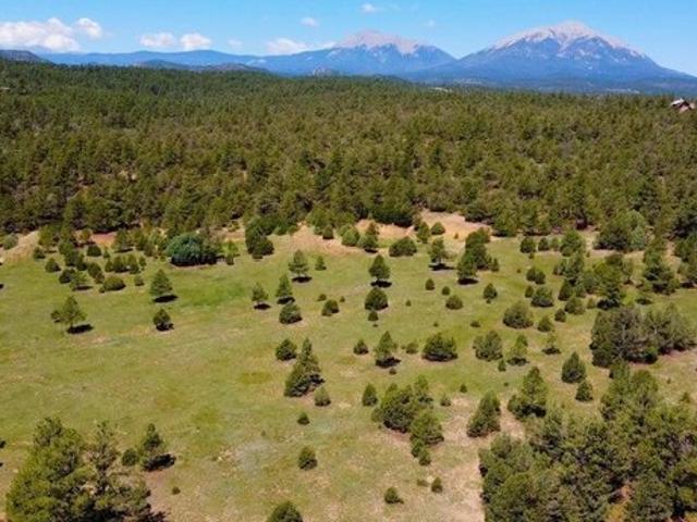 21270 Spirit Mountain Dr, Aguilar, CO 81020