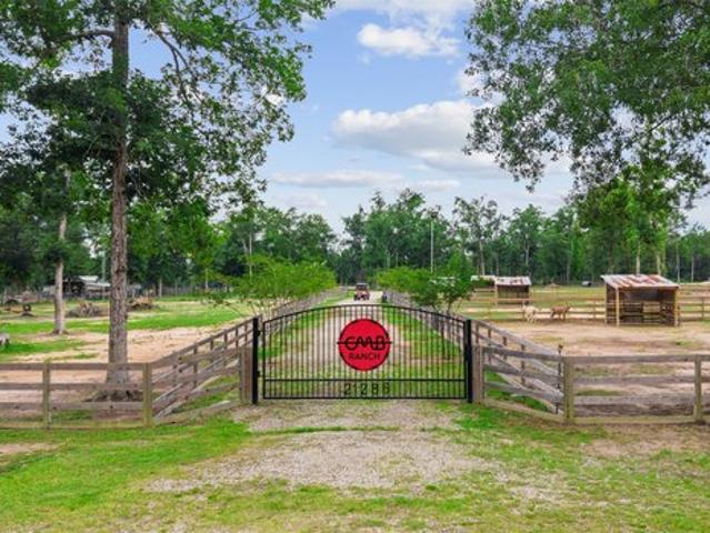 21286 Doru Dr, Cleveland, TX 77328