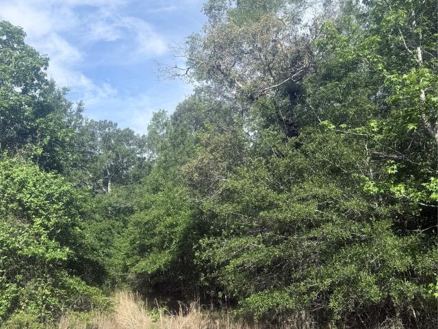 21203 Grant Lake Circle
