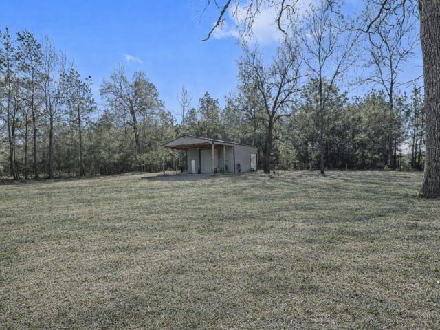 21202 Peach Wood