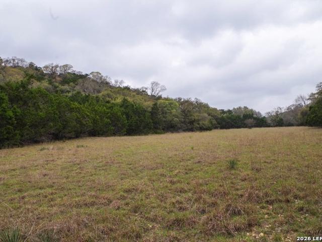 21207 Scenic Loop