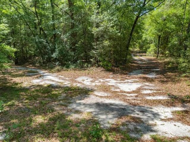 21204 John Ford Ln, Tallahassee, FL 32310