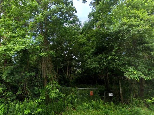 21208 Lyndall Ln, Porter, TX 77365 | MLS #14084