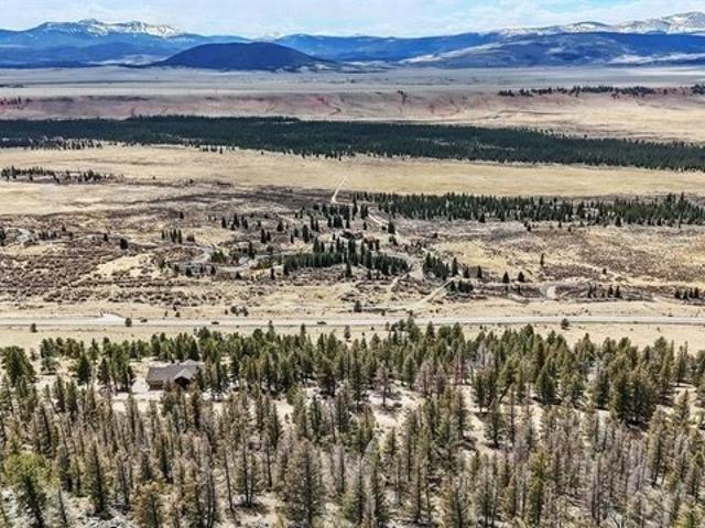 2120 Bonell Dr Lot 445, Fairplay, CO 80440