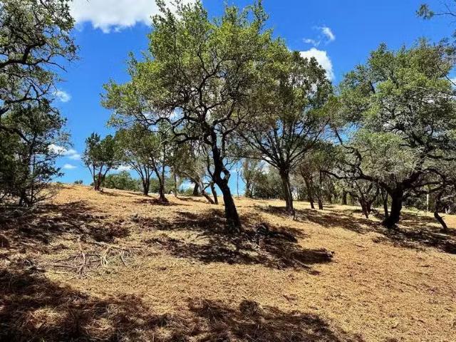 2120 Passare, New Braunfels, TX 78132 MLS 24256104