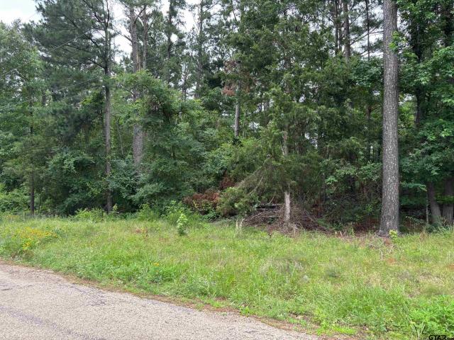 2121 Pittsburg, TX 75686 | MLS #25008