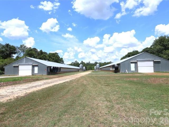 2121 Whitetail Rd, Blackville, SC 29817