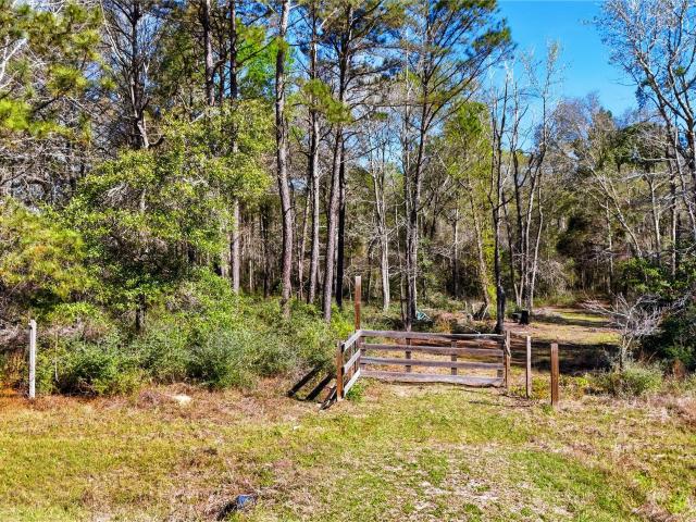 21223 Peach Wood, Cleveland, TX 77328 | MLS #45609