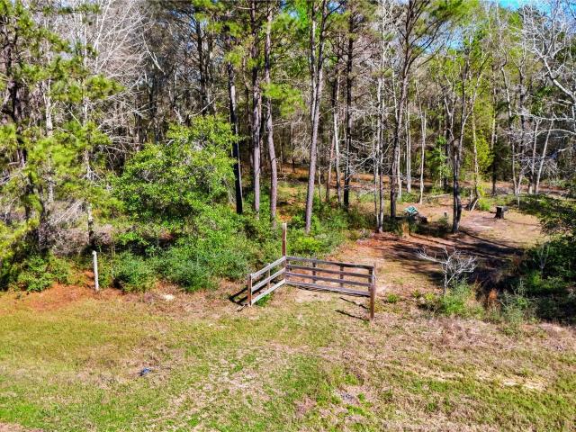 21223 Peach Wood
