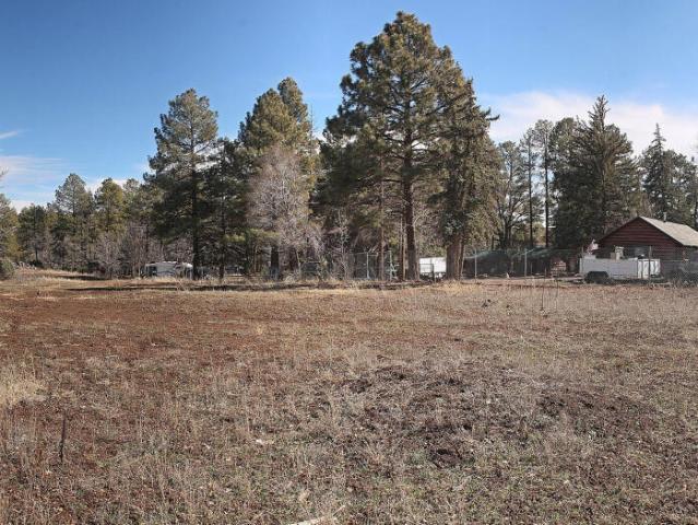 21230 B White Mountain Blvd