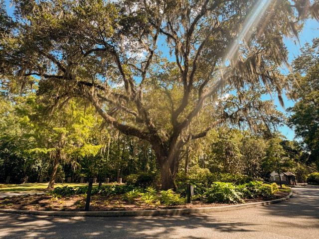 212 Bull Point Drive