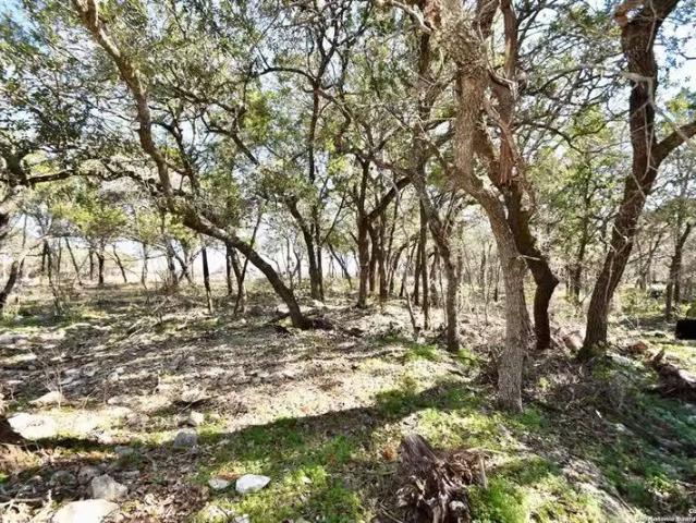 212 Knockout Rose, San Marcos, TX 78666