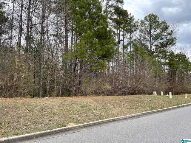 212 Maranatha Trail # 29