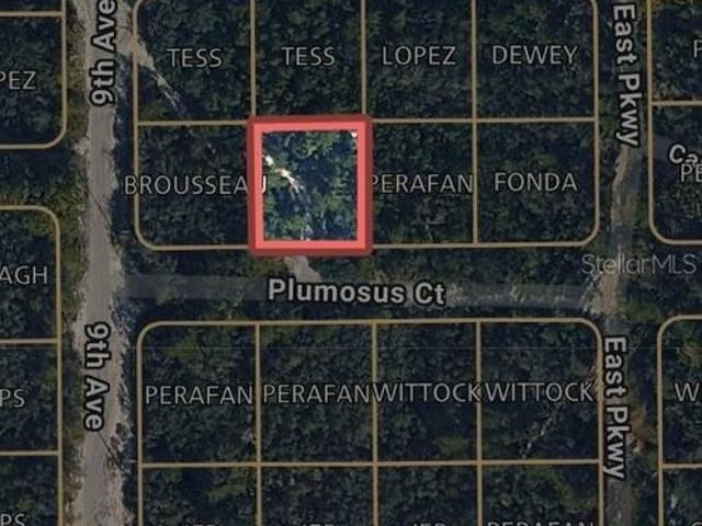 212 Plumosus Ct, Deland, FL 32724