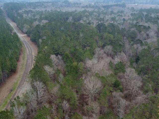 212 Wesley Chapel Rd, Georgiana, AL 36033
