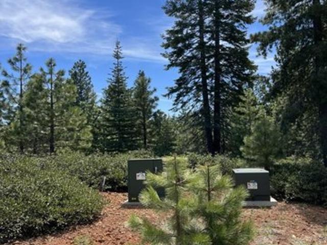 212 Treetop Cir, Lake Almanor, CA 96137