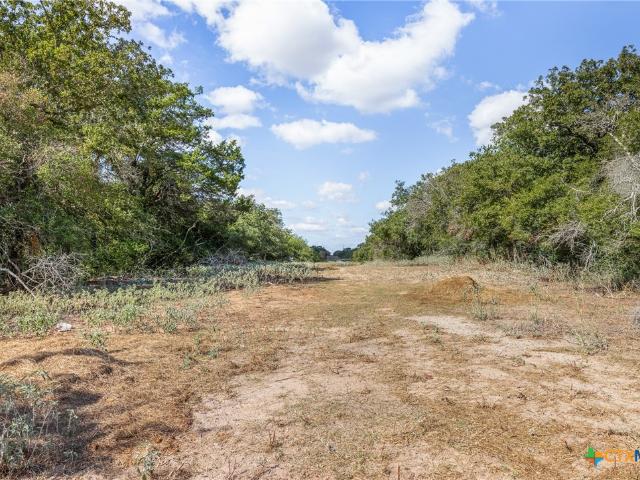 2135 Mule Creek Road