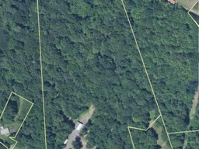 2137 Belvedere Dr, King George, VA 22485