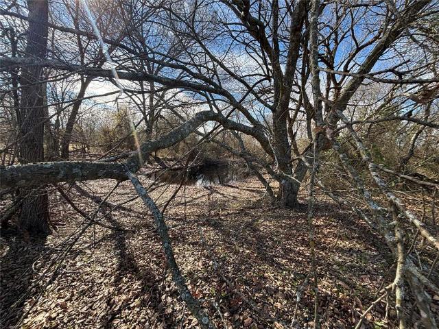 2139 Kemp, TX 75143 | MLS #21173 | Compass