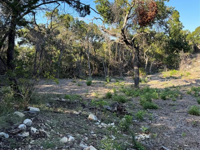 21304 Bronco Cove, Lago Vista, TX 78645 | MLS #6491