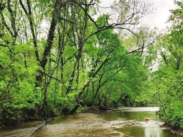 2132 Easy K Rd, Sage, AR 72573