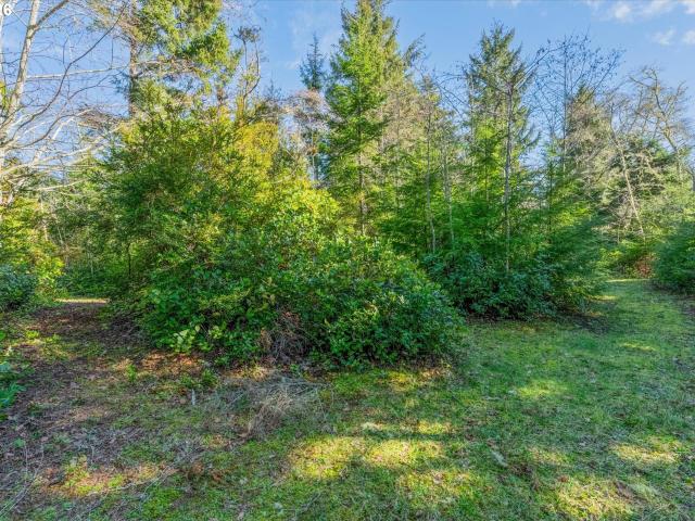 21333 Birch Pl, Ocean Park, WA 98640 | MLS #649629