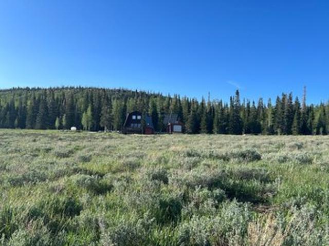 2133 E 2100 S, Brian Head, UT 84719