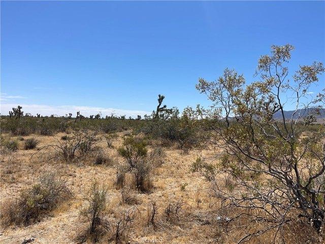 213th, Llano, CA 93544