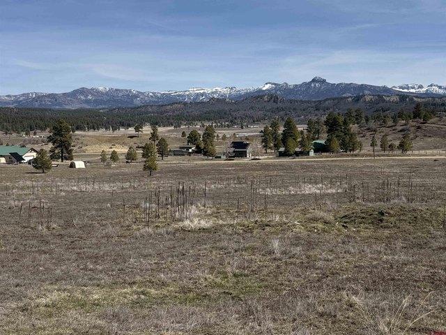 213 Buck Dr, Pagosa Springs, CO 81147
