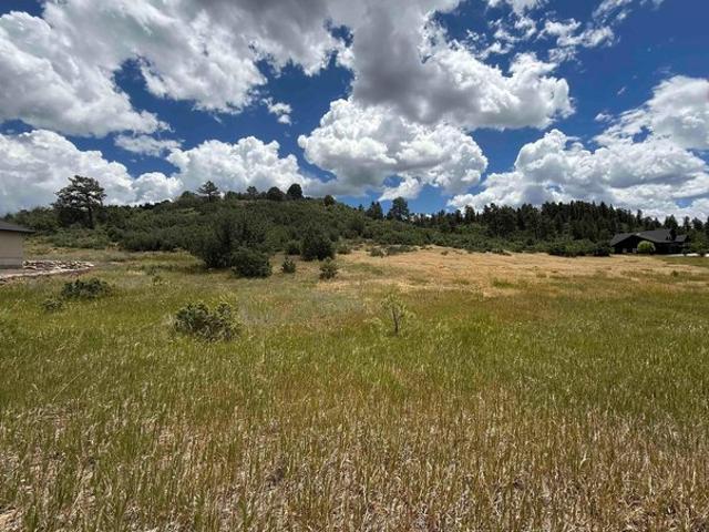 213 Dylan Dr, Pagosa Springs, CO 81147