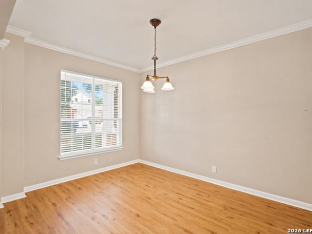 213 Lieck Cv