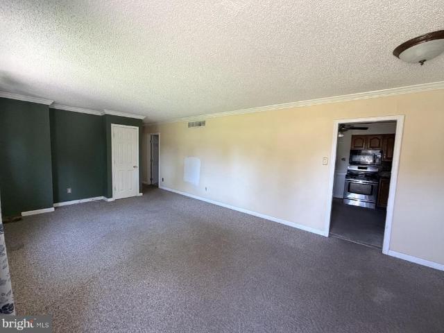 213 Luff Lane