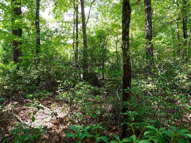 213 Ridge Haven Trail