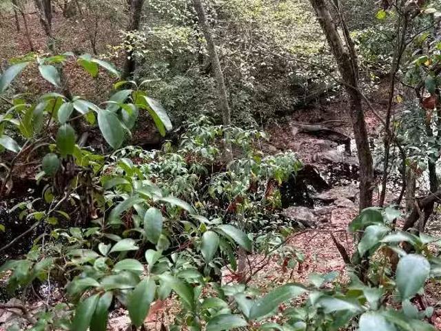 2146 CHEROKEE TRL, TALLASSEE, AL 36078 Vacant Land For Sale M.